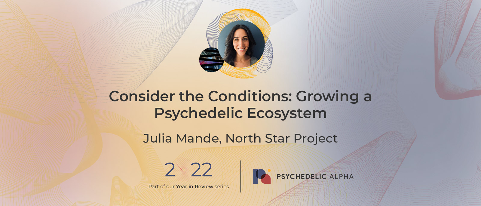 Julia Mande Consider The Conditions Growing A Psychedelic Ecosystem